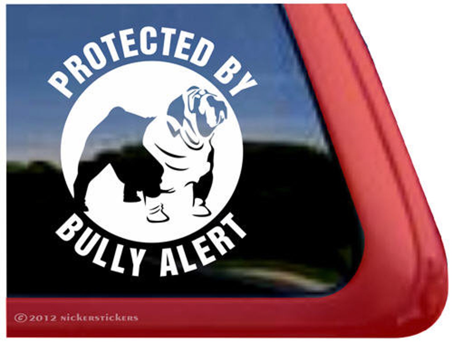 Protected by Bully Alert DC326PBY High Quality Adhesive - Etsy