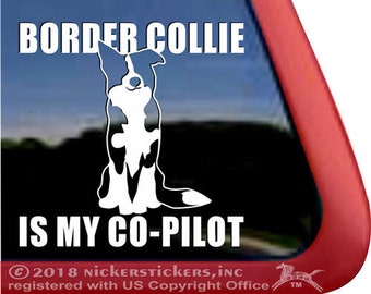 Co Pilot Sticker - Etsy