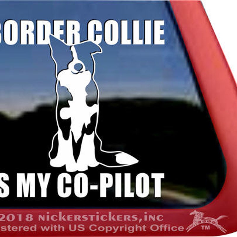 My Dog is My Copilot - Etsy