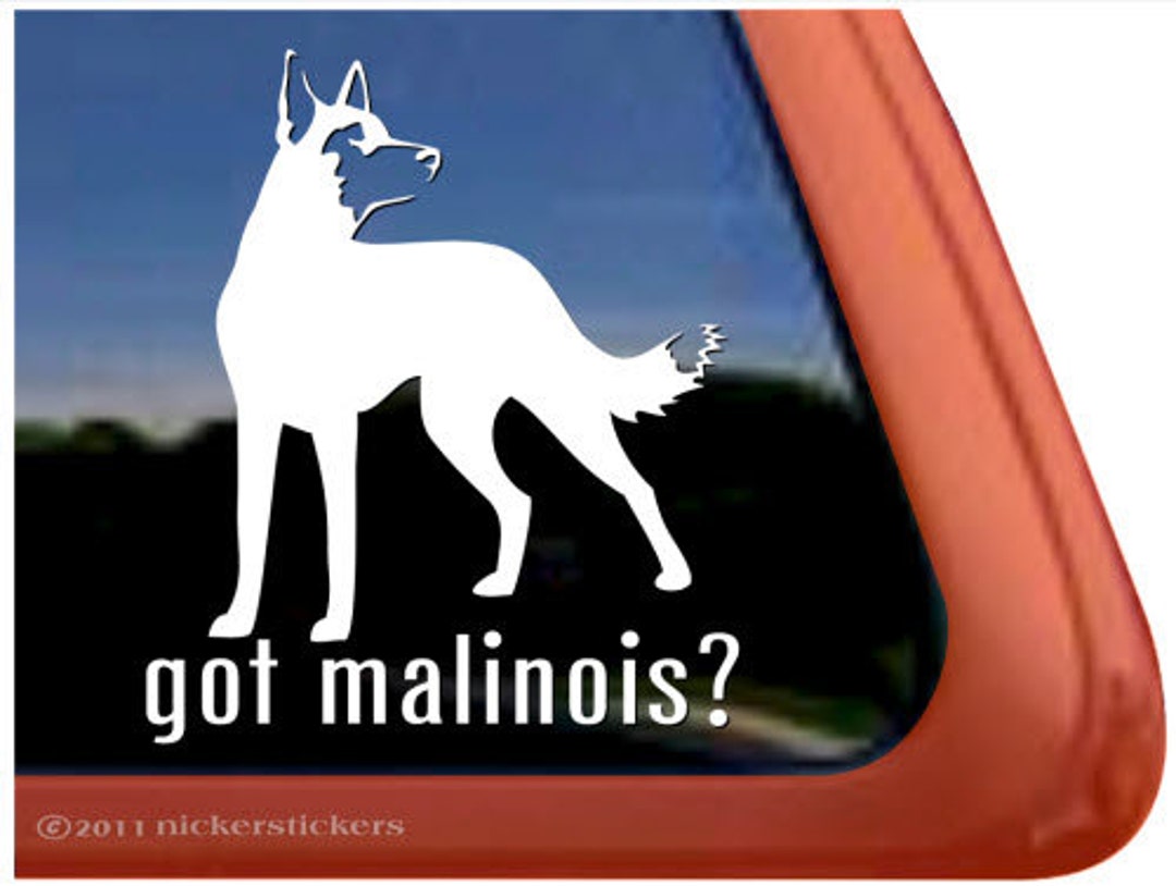Got Malinois? | DC313GOT | High Quality Adhesive Vinyl Belgian Malinois ...