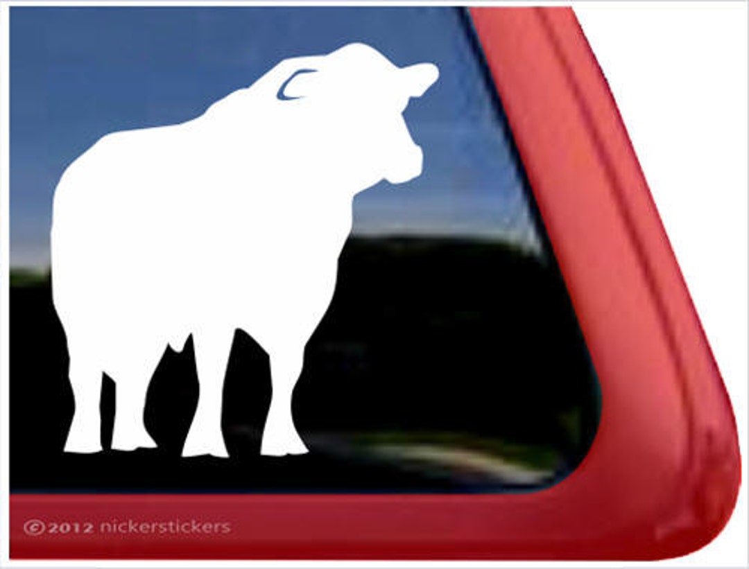 Angus Bull | DC768PLR | High Quality Adhesive Vinyl Bovine Cattle Cow ...