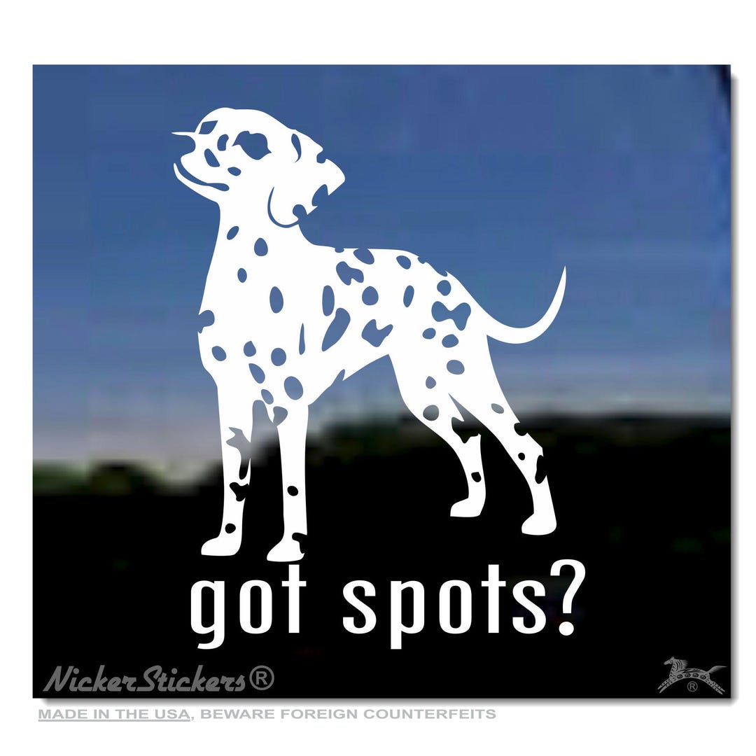 Got Spots? | Choose Size | High Quality Adhesive Vinyl Dalmatian Puppy ...