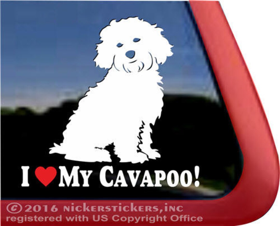 I Love My Cavapoo DC1022HEA High Quality Adhesive Vinyl - Etsy