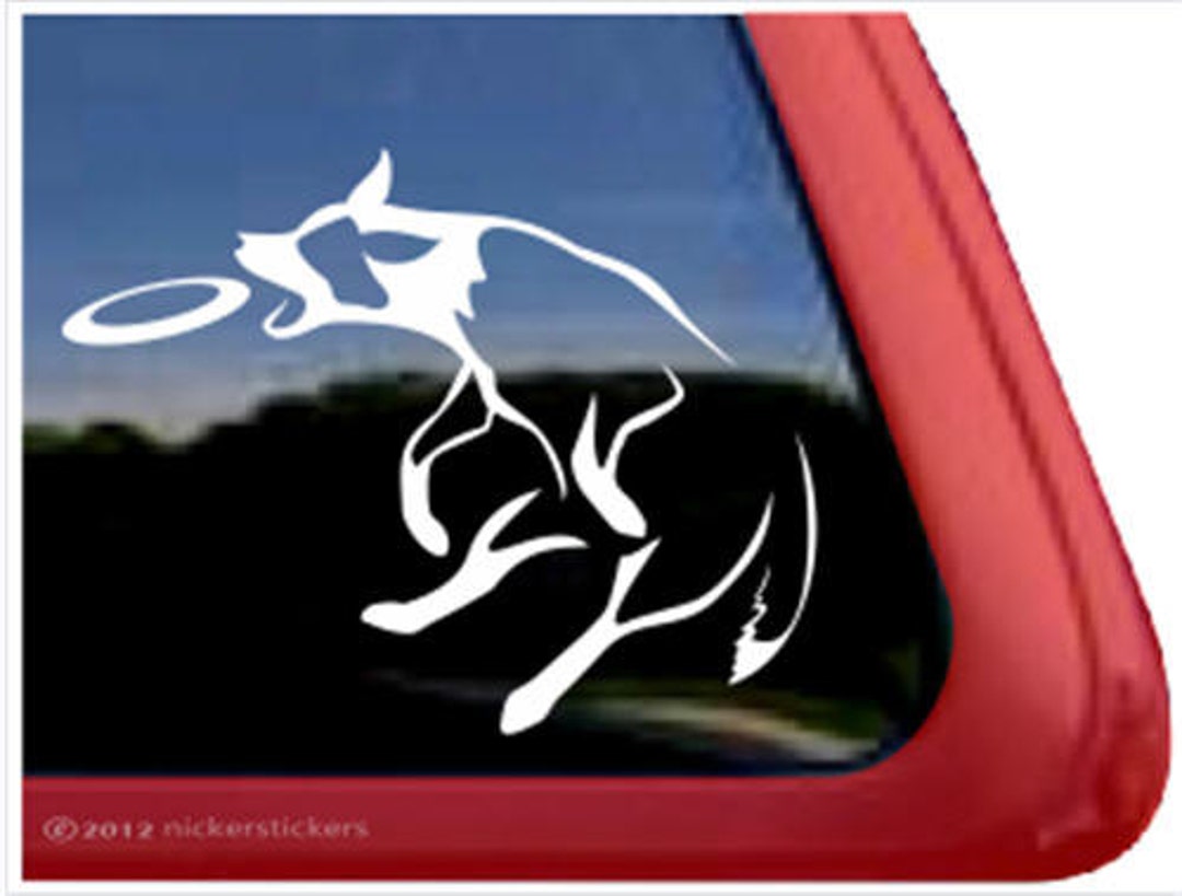 Disc Dog | DC517PL | High Quality Adhesive Australian Cattle Dog ...