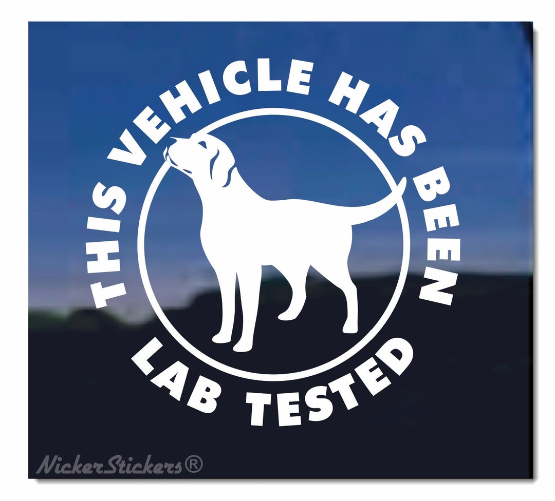 Lab Tested | High Quality Adhesive Vinyl Labrador Retriever Dog Window ...