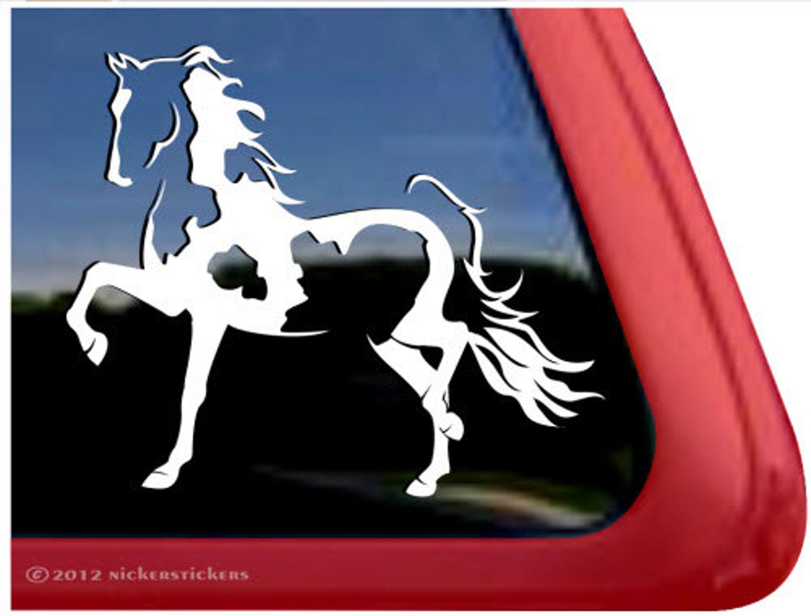 Pinto Saddlebred DC647PL High Quality Adhesive Vinyl Pinto | Etsy