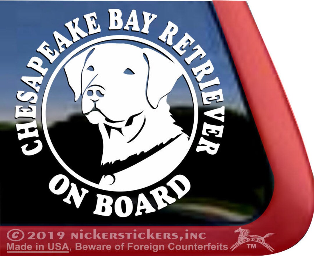 Chesapeake Bay Retriever on Board | High Quality Adhesive Vinyl Window ...