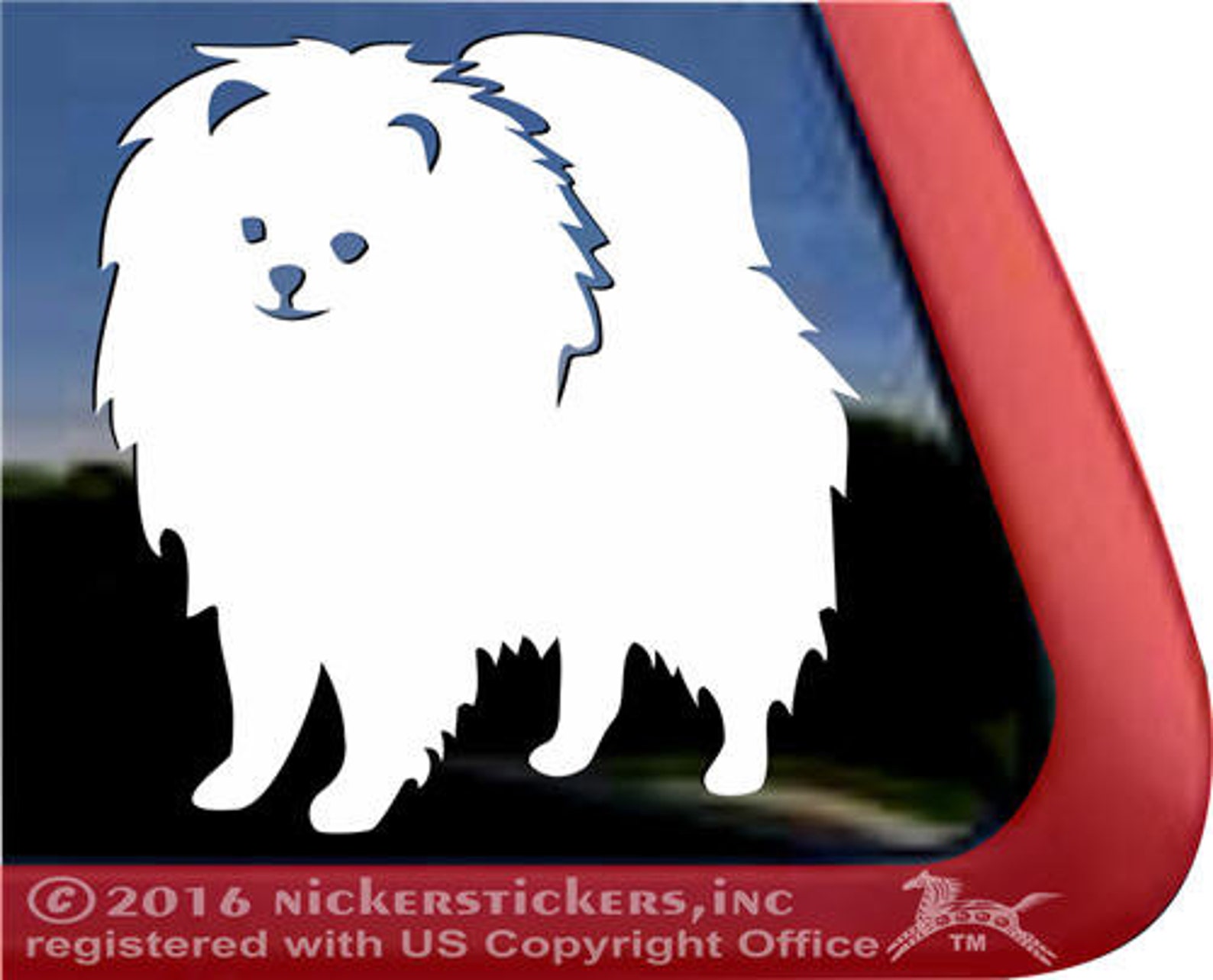 Cute Pomeranian Decal | DC370PL | High Quality Adhesive Vinyl Window ...