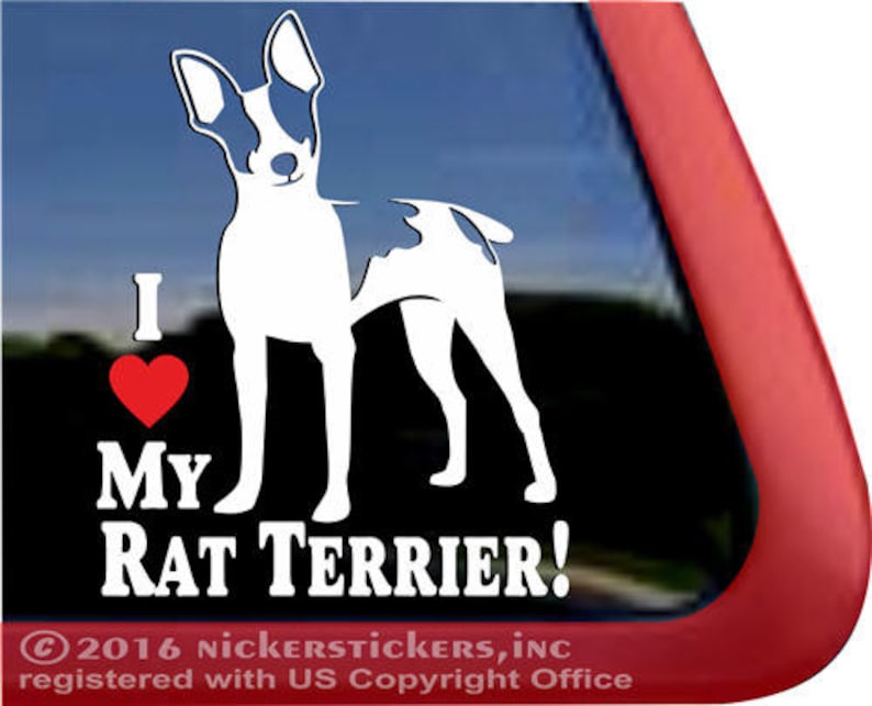 I Love My Rat Terrier DC1018HEA High Quality Adhesive | Etsy