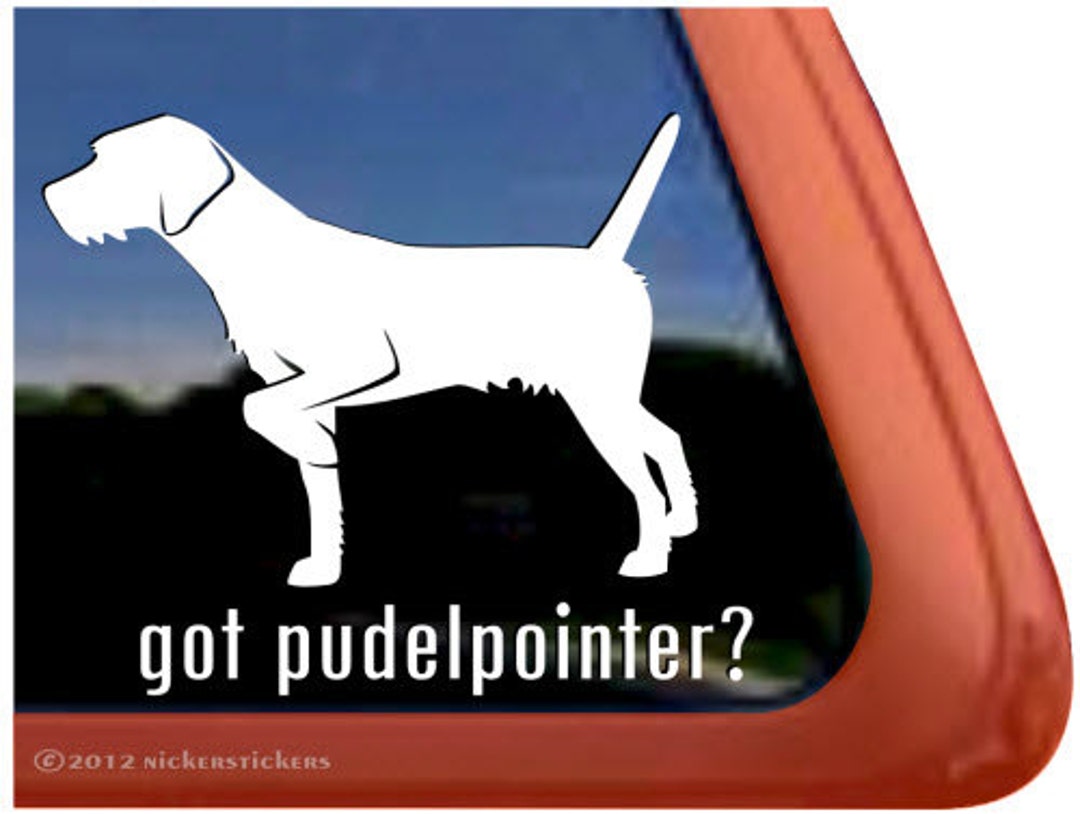Got Pudelpointer? | DC528GOT | High Quality Adhesive Pudelpointer Dog Vinyl Window Decal Sticker ...