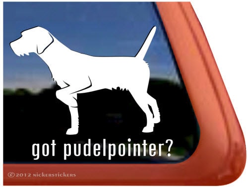 Got Pudelpointer? | DC528GOT | High Quality Adhesive Pudelpointer Dog ...