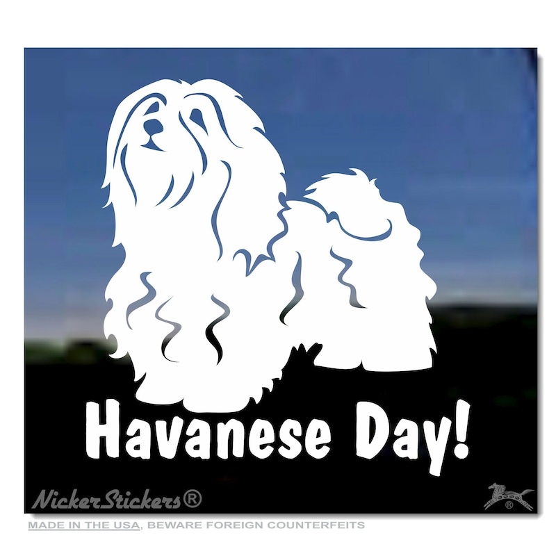 Havanese - Etsy