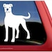Beautiful White Boxer Decal DC185PL High Quality Adhesive - Etsy