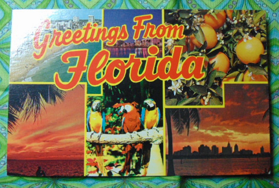 Vintage 1983 BEAUTIFUL Greetings From Florida Post Card...unused ...