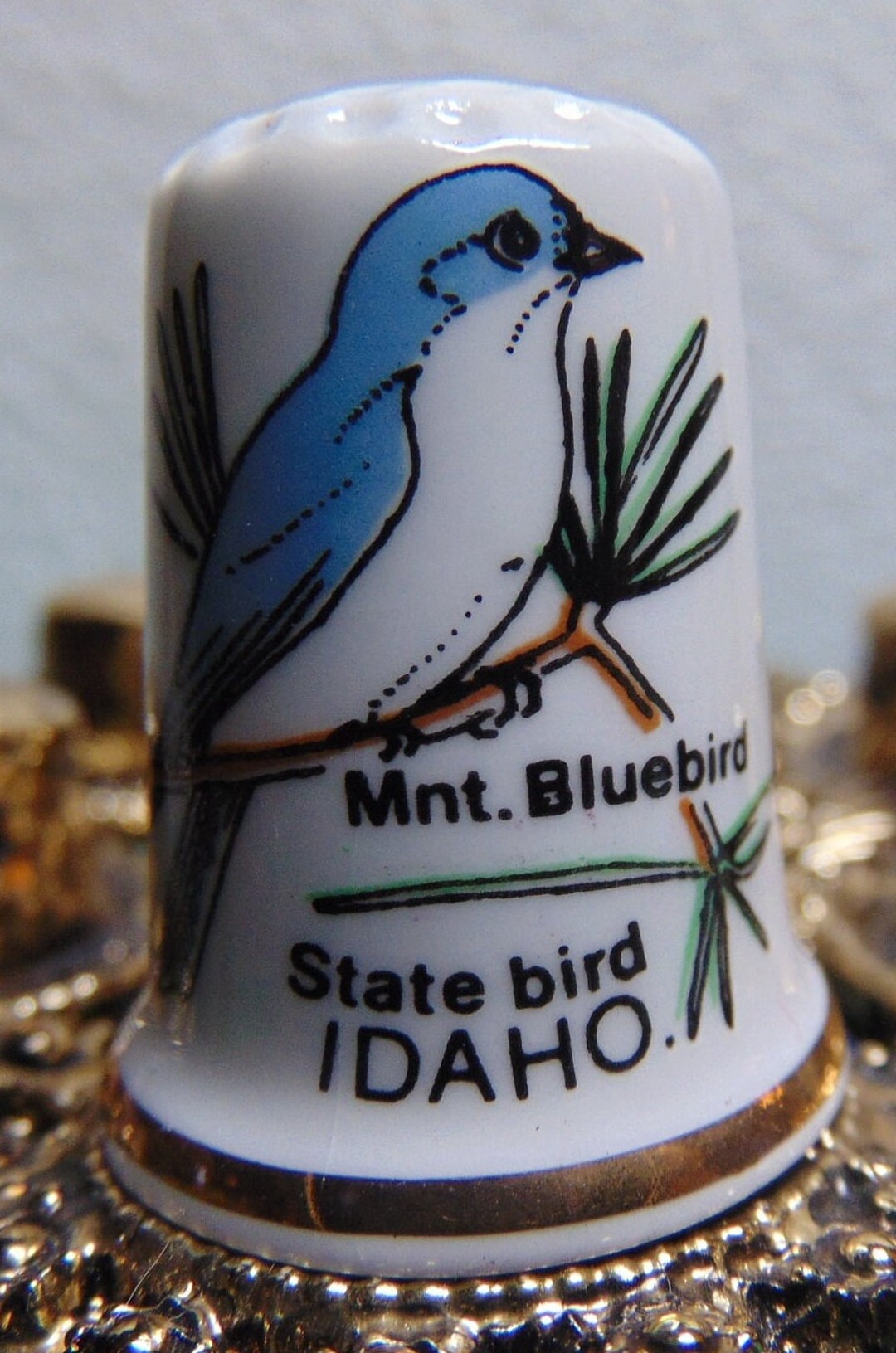 VINTAGE Beautiful 70's/80's Birch Croft Bone China Idaho State Bird ...