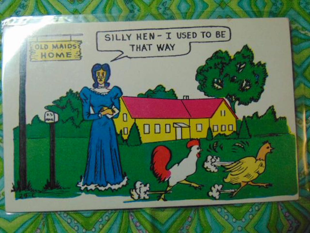 ANTIQUE Excellent 1900's Humorous Old Maids Home Comical Postcard ...