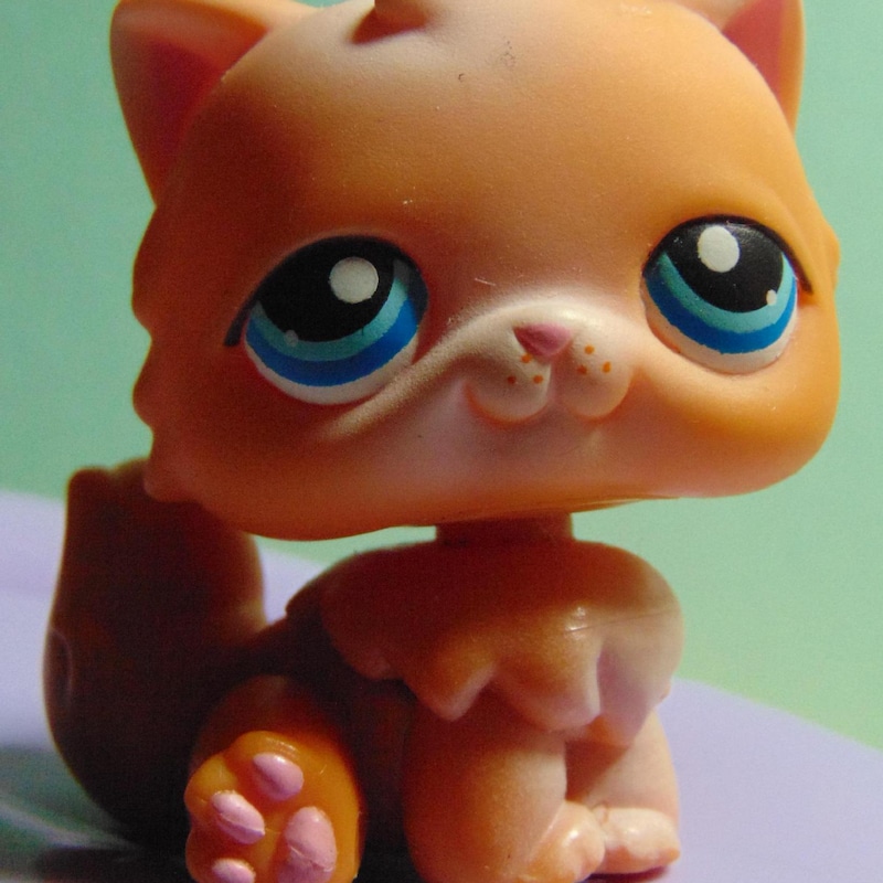 Lps Orange Cat - Etsy