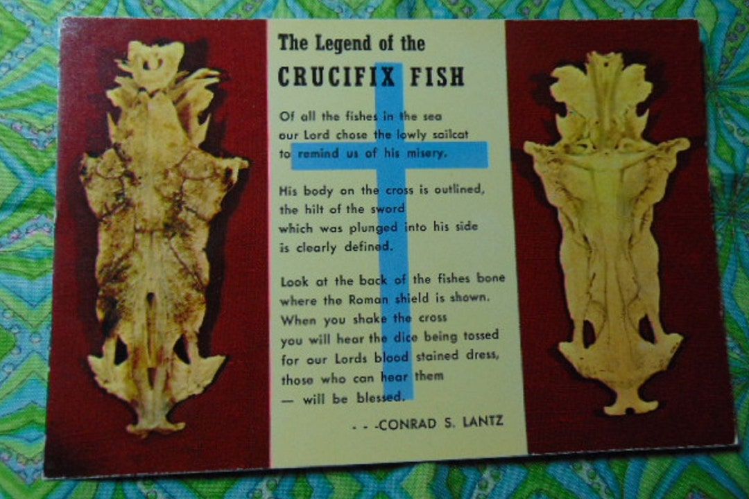 VINTAGE AWESOME 40's/50's the Legend of the Crucifix Fish Postcard ...