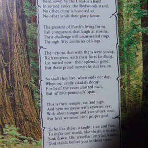 VINTAGE EXCELLENT 50's/60's the Redwoods Poem Postcard..unused..1134 ...