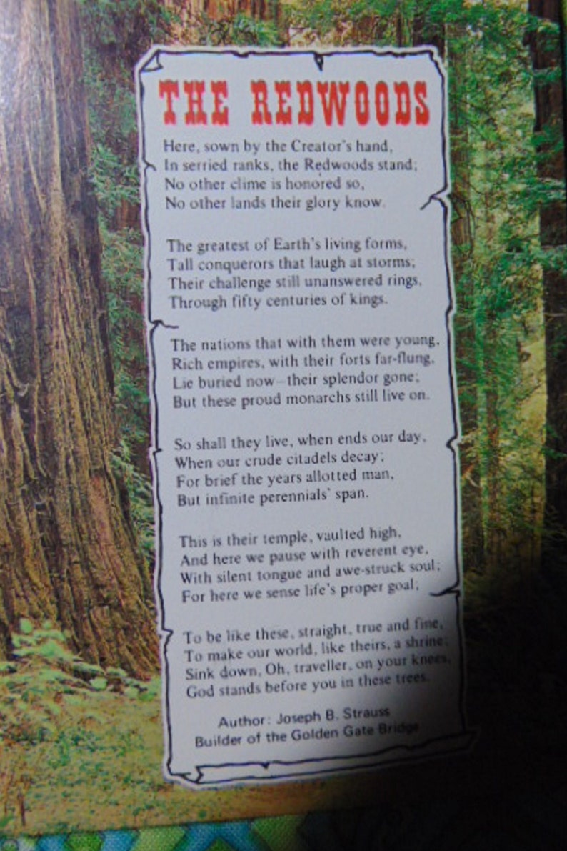 VINTAGE EXCELLENT 50's/60's the Redwoods Poem Postcard..unused..1134 ...