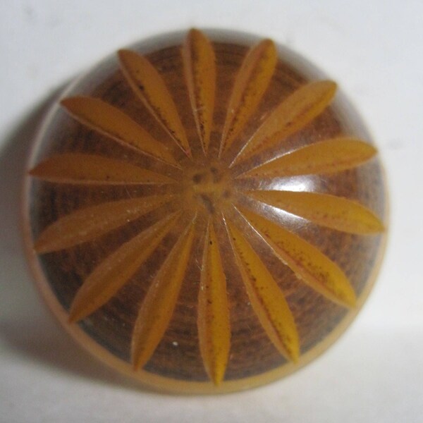 Celluloid Carved - Etsy