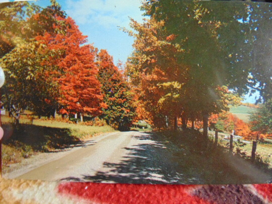 Vintage 60's/70's Vermont's Fall Foliage State Postcard..unused ...