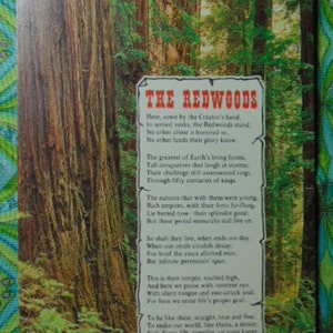 VINTAGE EXCELLENT 50's/60's the Redwoods Poem Postcard..unused..1134 ...