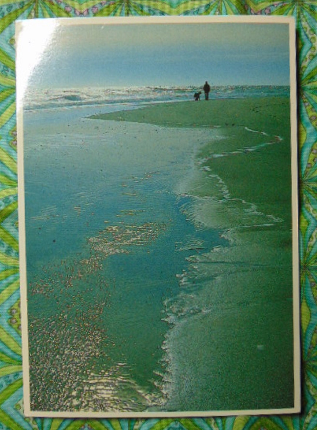 Vintage BEAUTIFUL 70's/80's Cape Cod National Seashore Beach Postcard ...