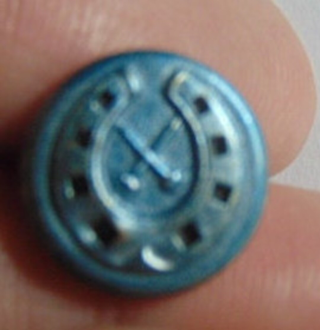 Antique BEAUTIFUL 'T.W. & W. Paris' Victorian Equestrian Themed Blue ...