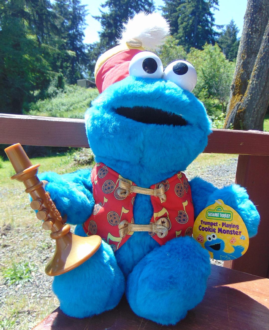 Vintage 1999 Trumpet Playing Cookie Monster Plush Toy by TYCO & the Jim ...