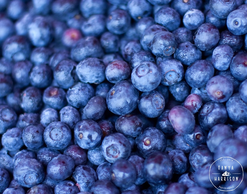 Blueberries Food Photography Blue Kitchen Decor Food Art, Blue Kitchen ...