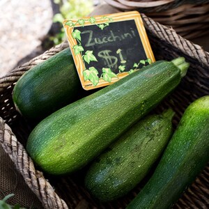 Green Kitchen Decor - Zucchini Food Photography, Farmers Market Art ...