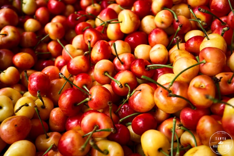 Red and Yellow Kitchen Decor - Rainier Cherries Food Photography ...