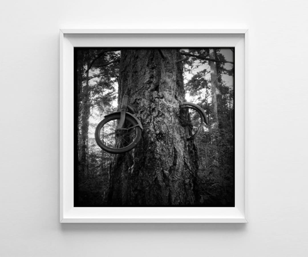 Seattle Art Vashon Island Bike Tree Black and White Photograph, Bicycle ...