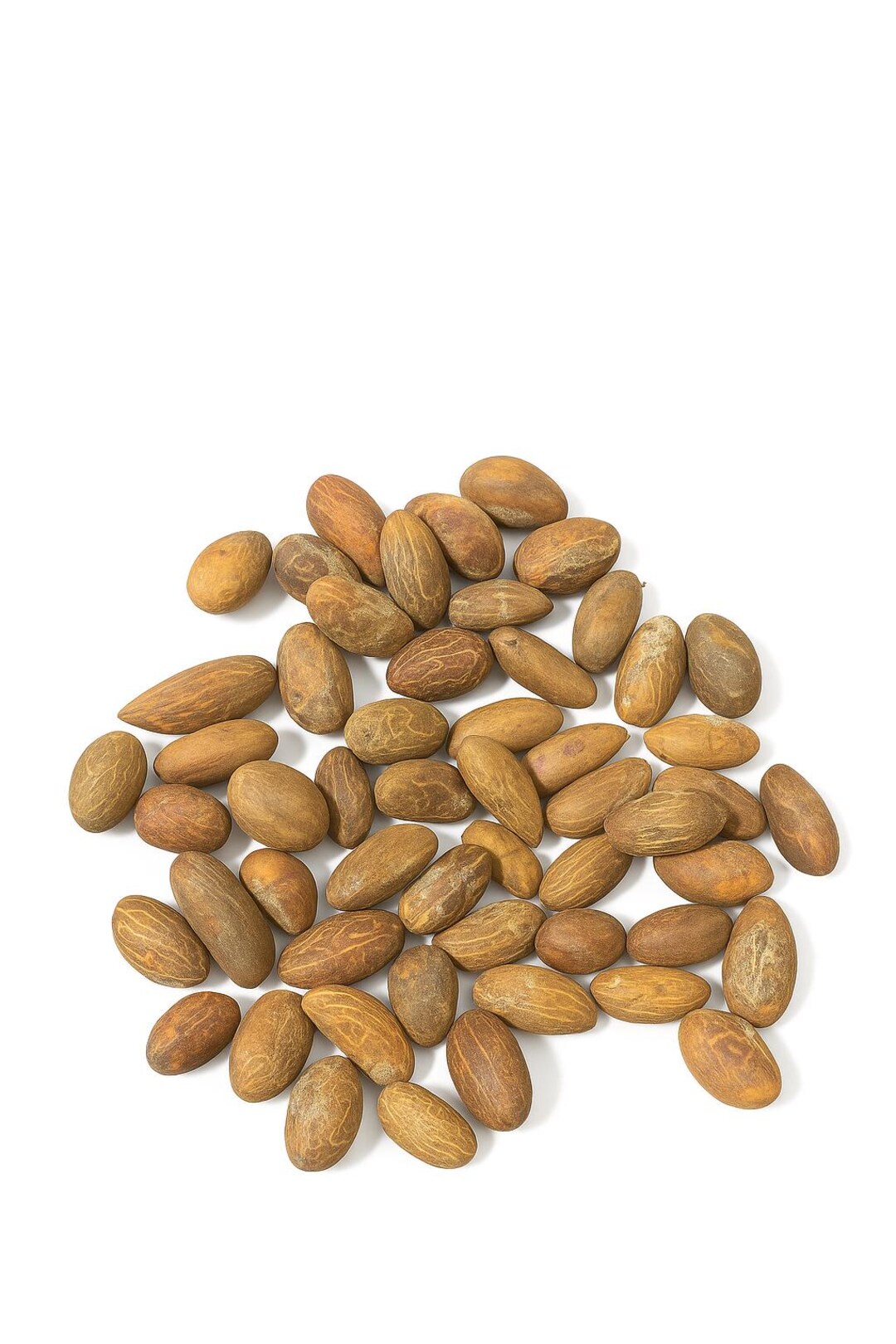 Orogbo - 1 Pound / 1LB - Bitter Kola – Sacred Yoruba Nut of Strength ...