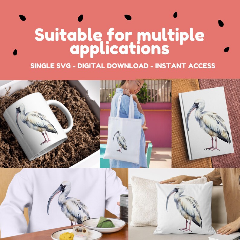 Aussie Ibis Bin Chicken Watercolor Clipart: SVG & PNG (digital Download ...