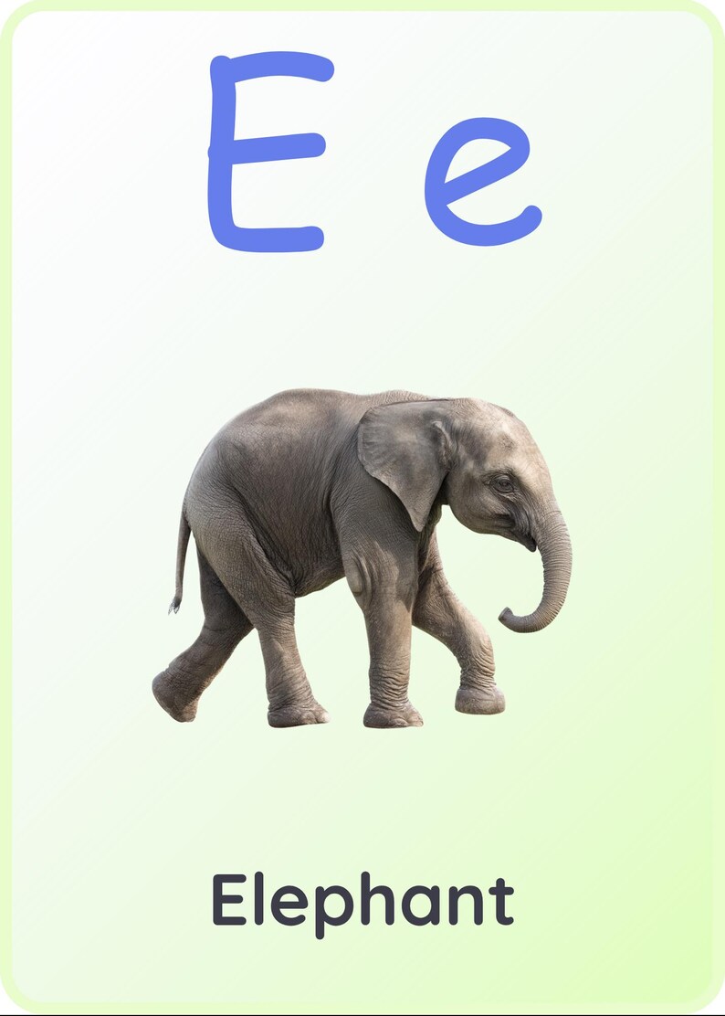 Alphabet Flashcards Realistic Photo | Montessori ABC Cards | Toddler ...