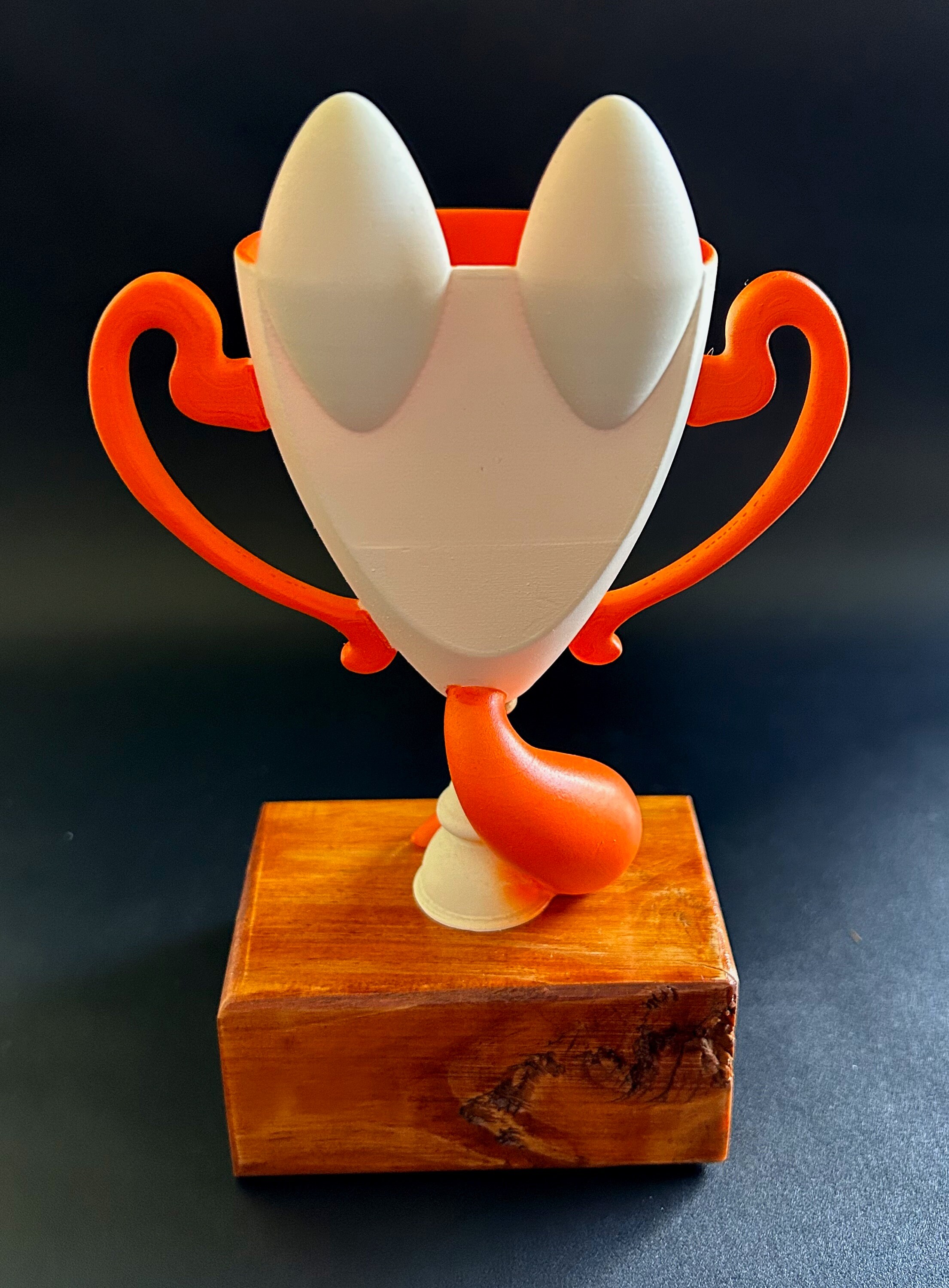 6.5 Furry Trophy - Etsy