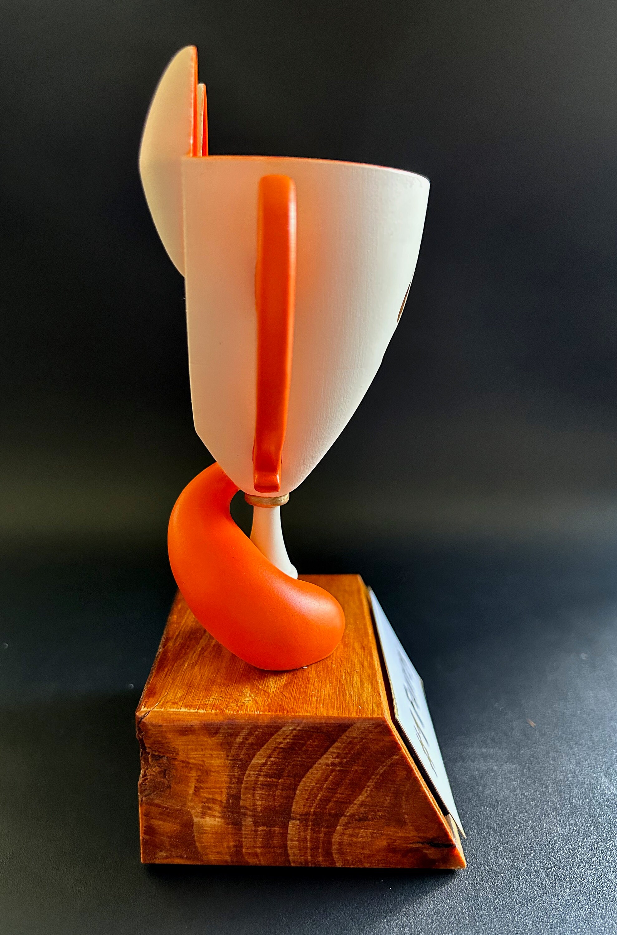 6.5 Furry Trophy - Etsy