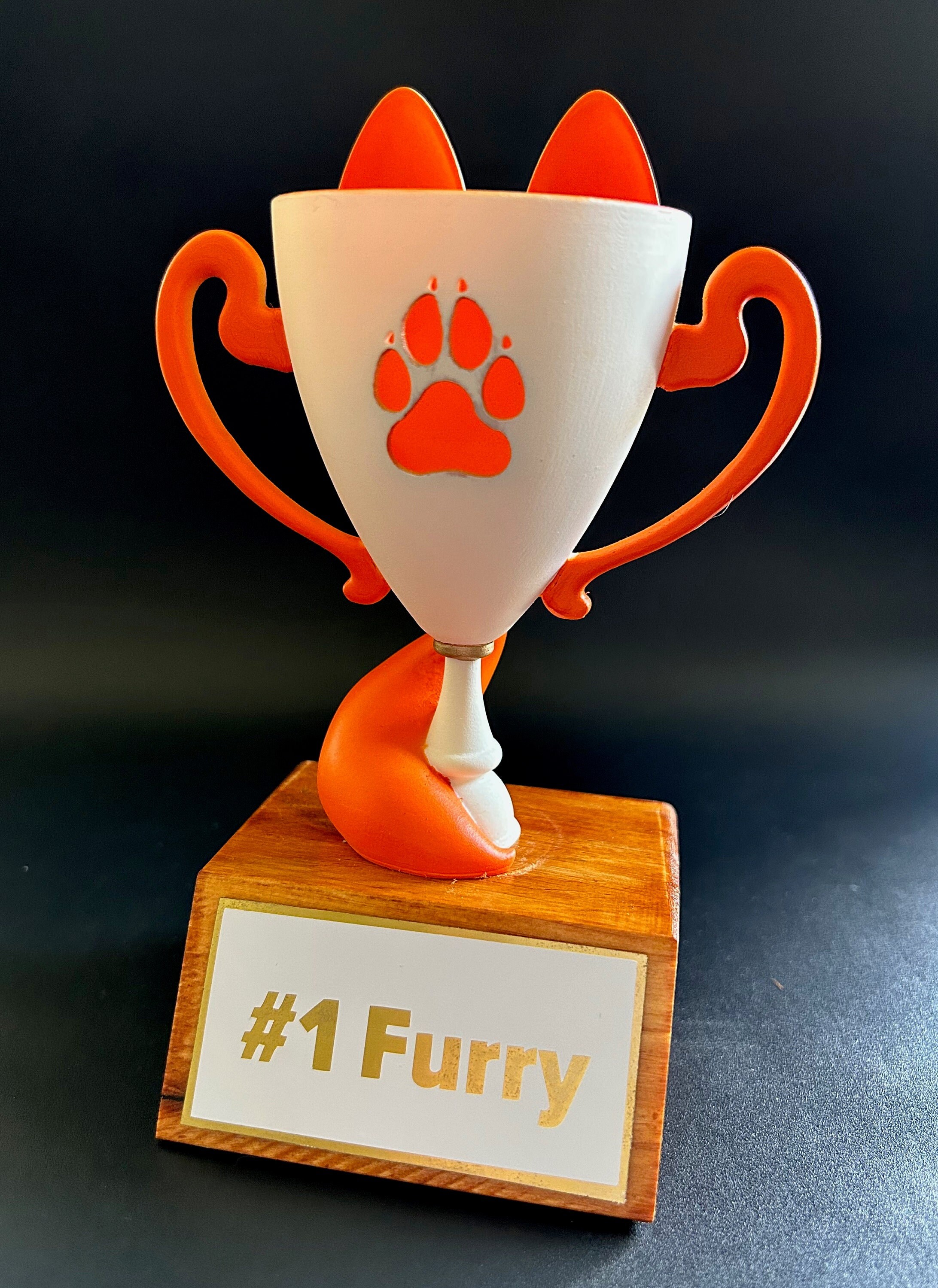 6.5 Furry Trophy - Etsy