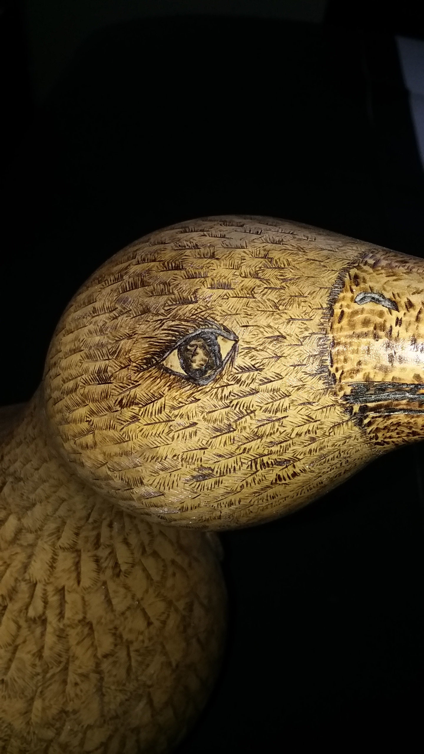 Wood Burned Duck Gourd - Etsy