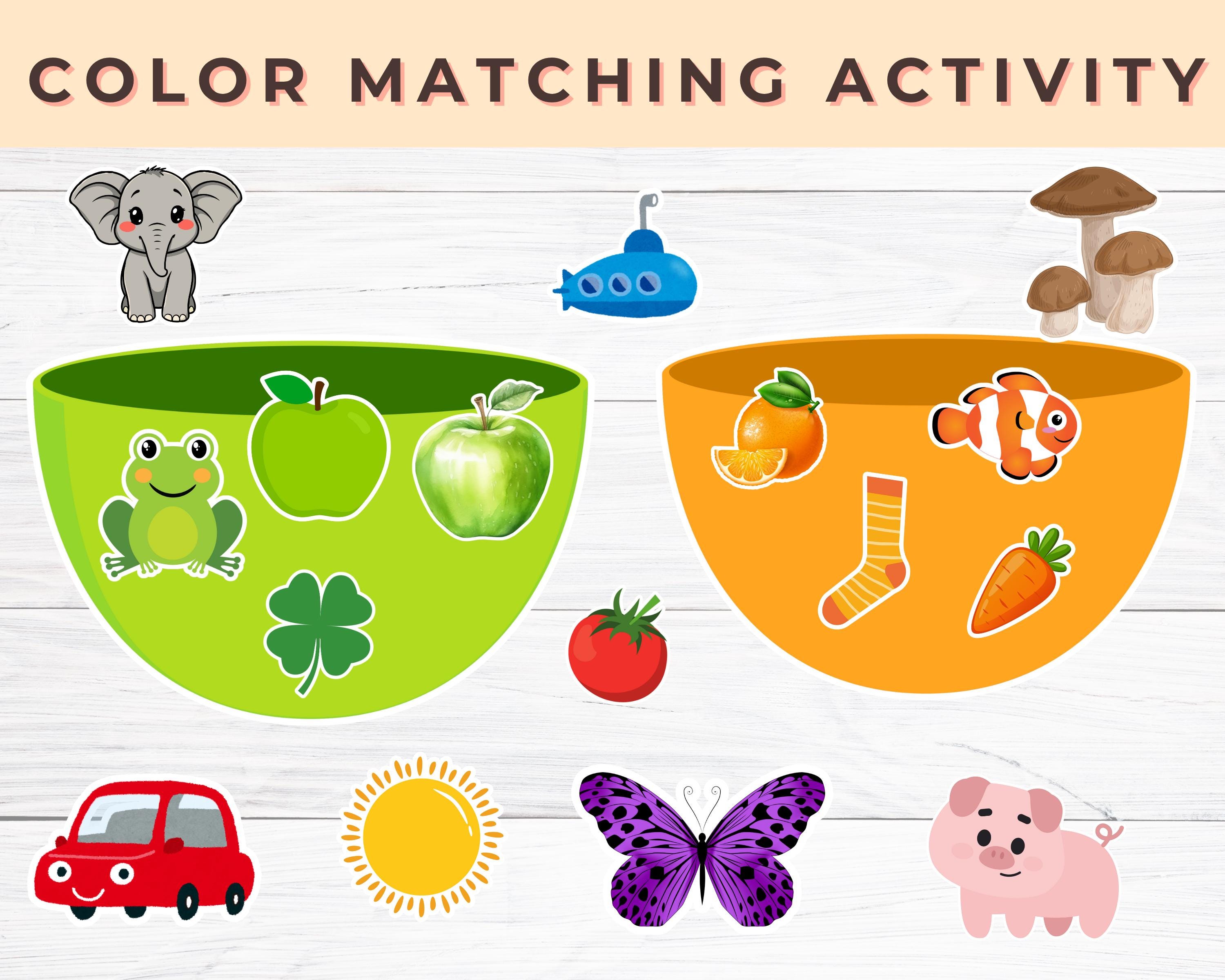Printable Color Matching Game: Montessori Learning Activity (PDF) - Etsy UK