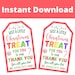 Just a Little Christmas Treat for You Gift Tag Printable - Etsy