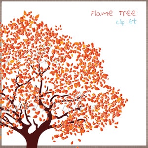 FLAME TREE - Clip Art Image in 3 Sizes. Png & Jpeg Files. Small to ...
