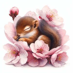 8 Squirrels Sleeping Clipart. Cherry Blossoms. High Quality JPEG Images ...