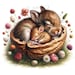 10 Cute Woodland Animals Sleeping Clipart. High Definition JPEG Images ...