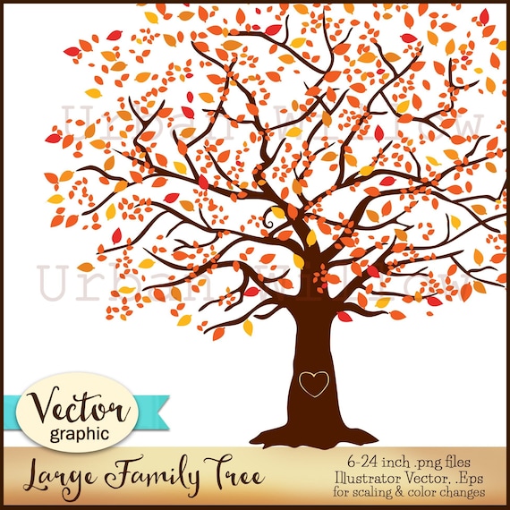 Family Tree Drawing Color
