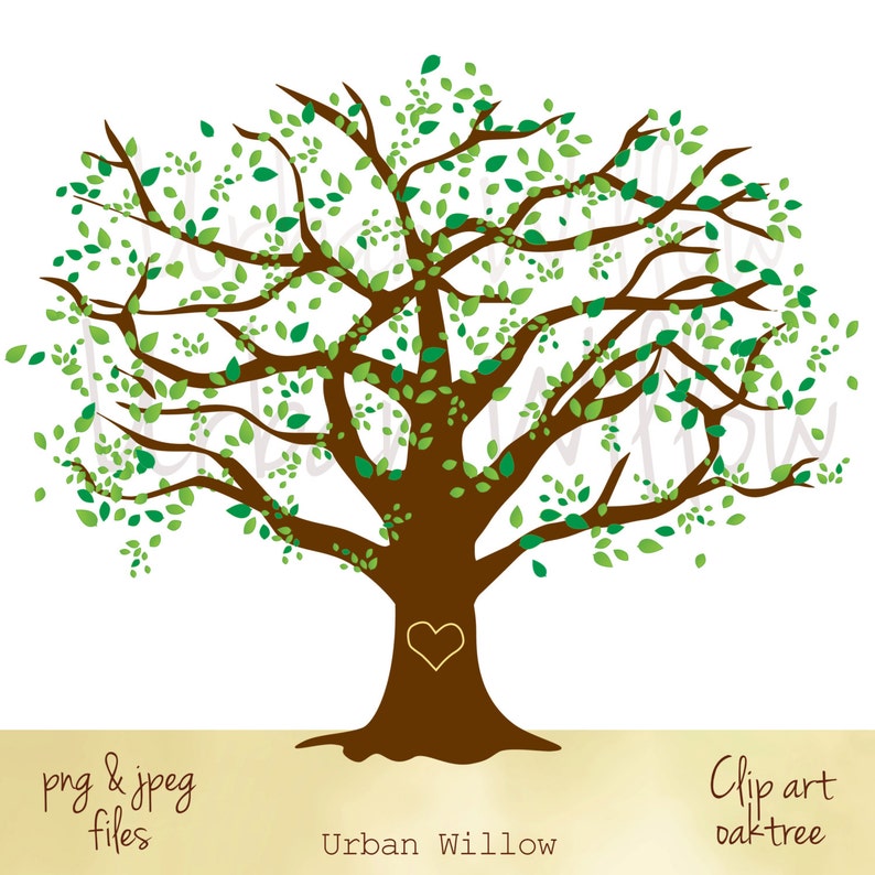 Clip Art Oak Tree Beautiful Tree Graphic Natural Tree - Etsy