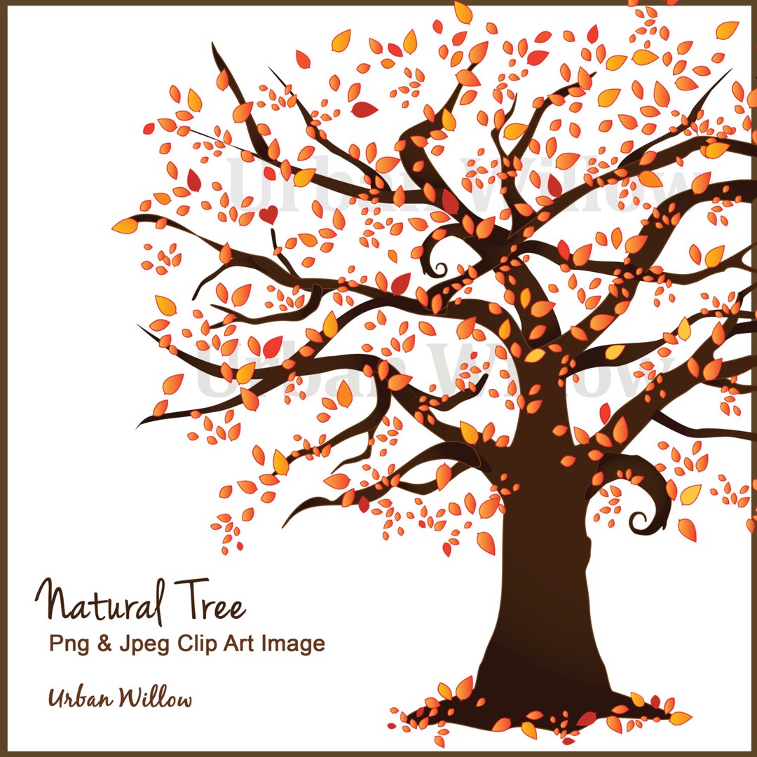Fall Tree Clipart Clipart Autumn Tree Family Trees Tree - Etsy