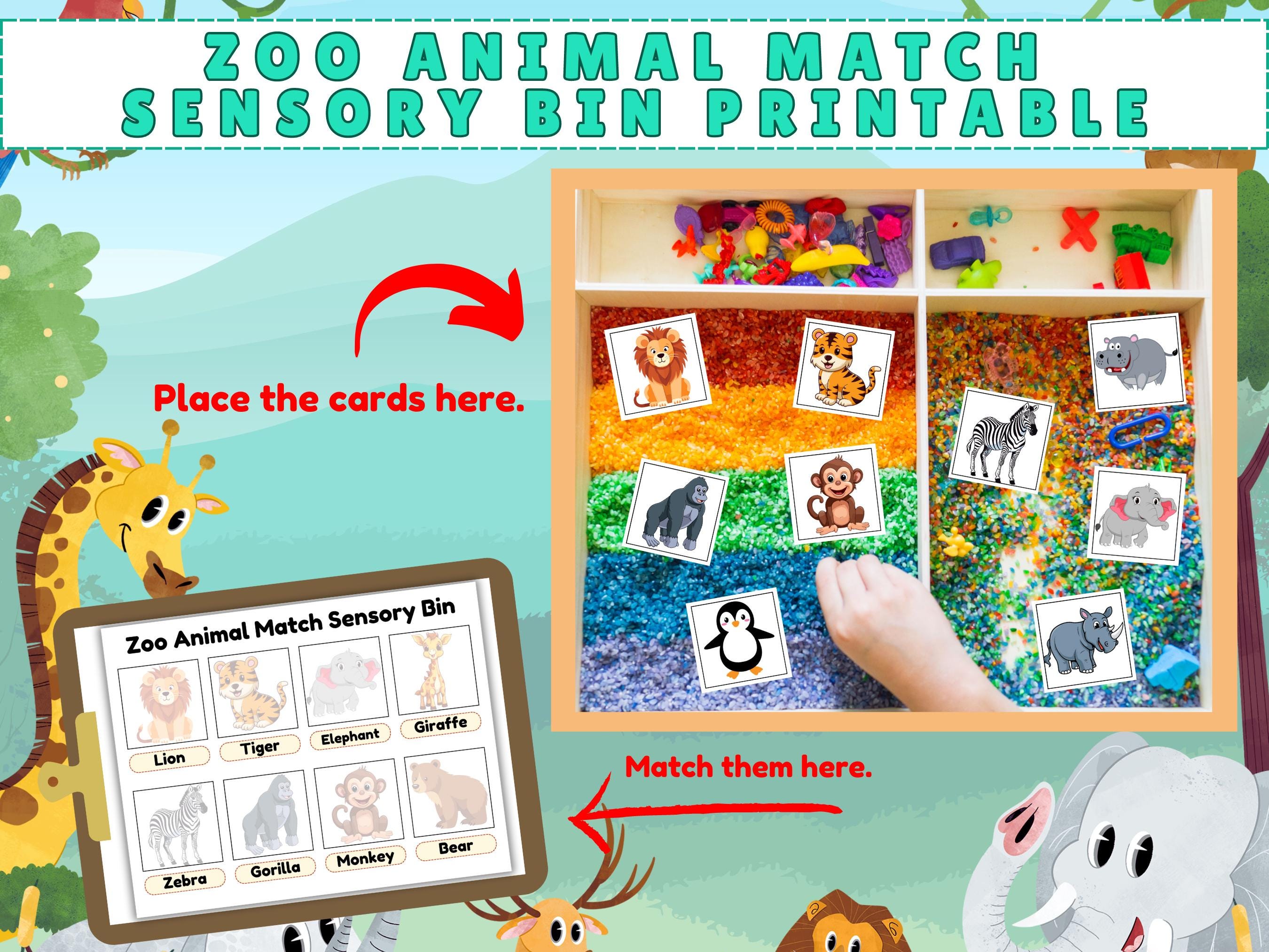 Zoo Animal Match Sensory Bin Printable | Preschool Matching Game PDF ...